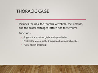 Vertebral Column.ppt