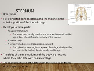 Vertebral Column.ppt