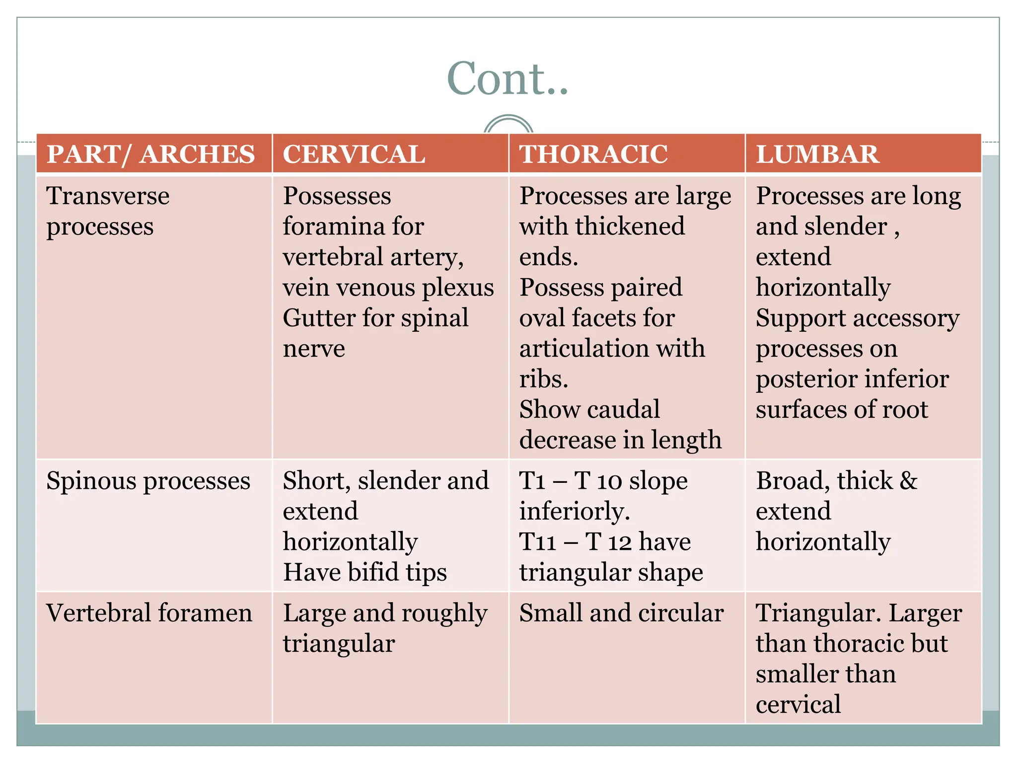 Vertebral column... and Biomechanics.pptx