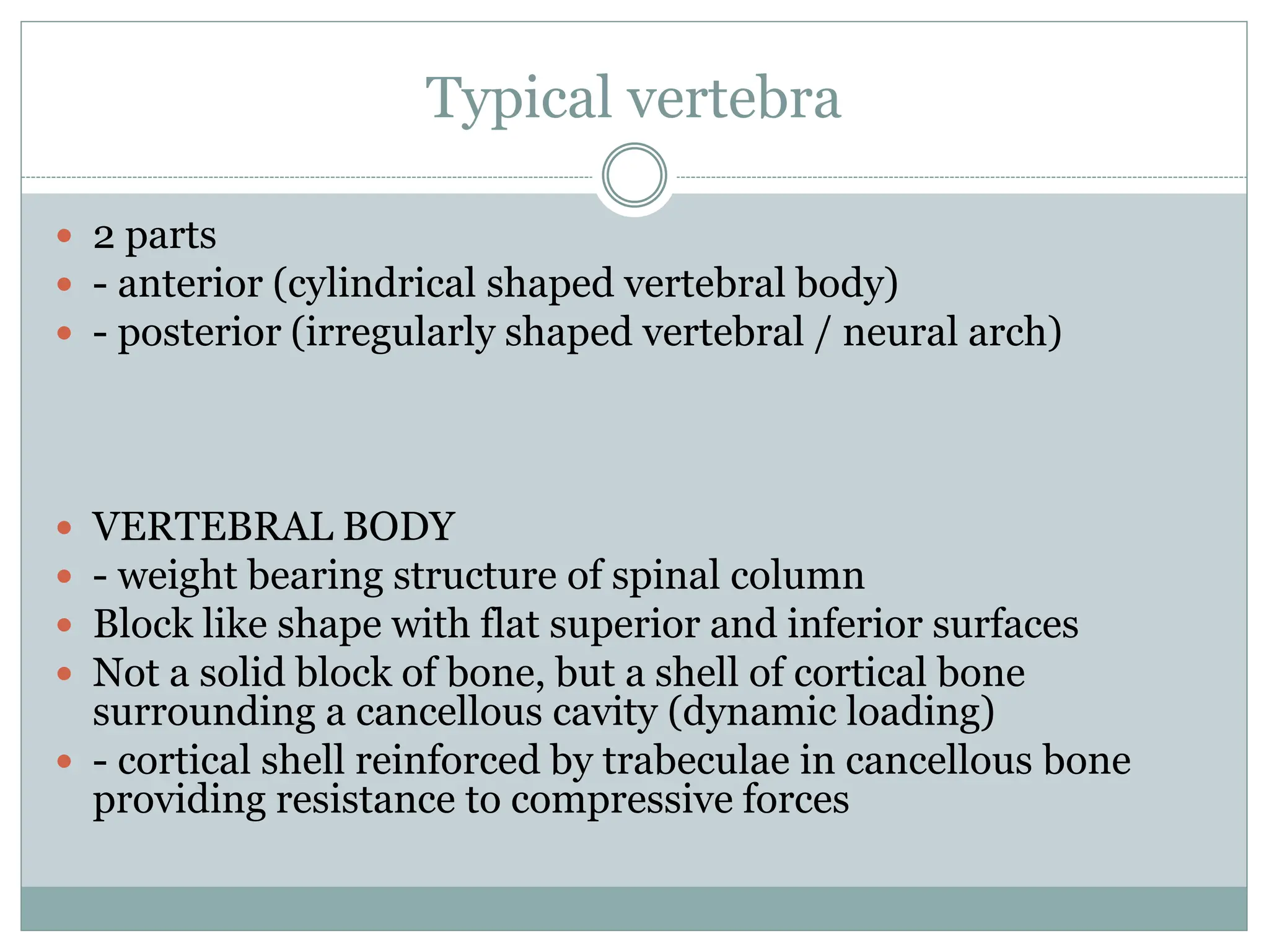 Vertebral column... and Biomechanics.pptx