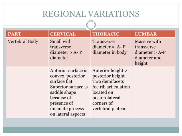 Vertebral column... and Biomechanics.pptx