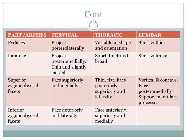 Vertebral column... and Biomechanics.pptx