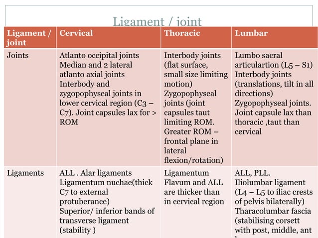 Vertebral column... and Biomechanics.pptx