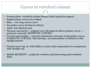 Vertebral column... and Biomechanics.pptx