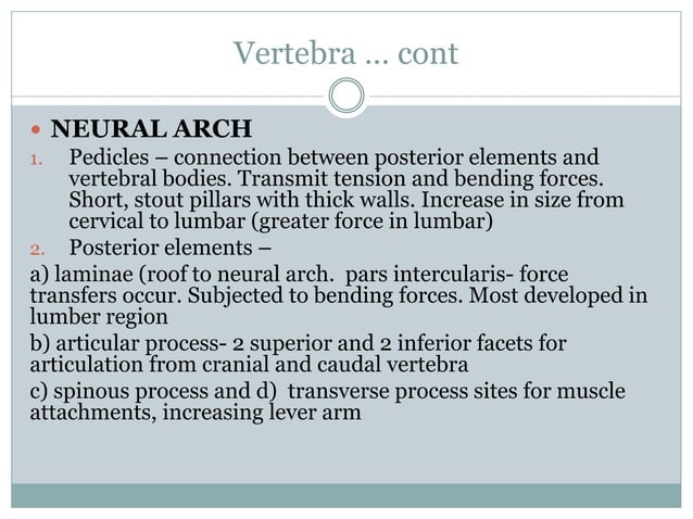 Vertebral column... and Biomechanics.pptx