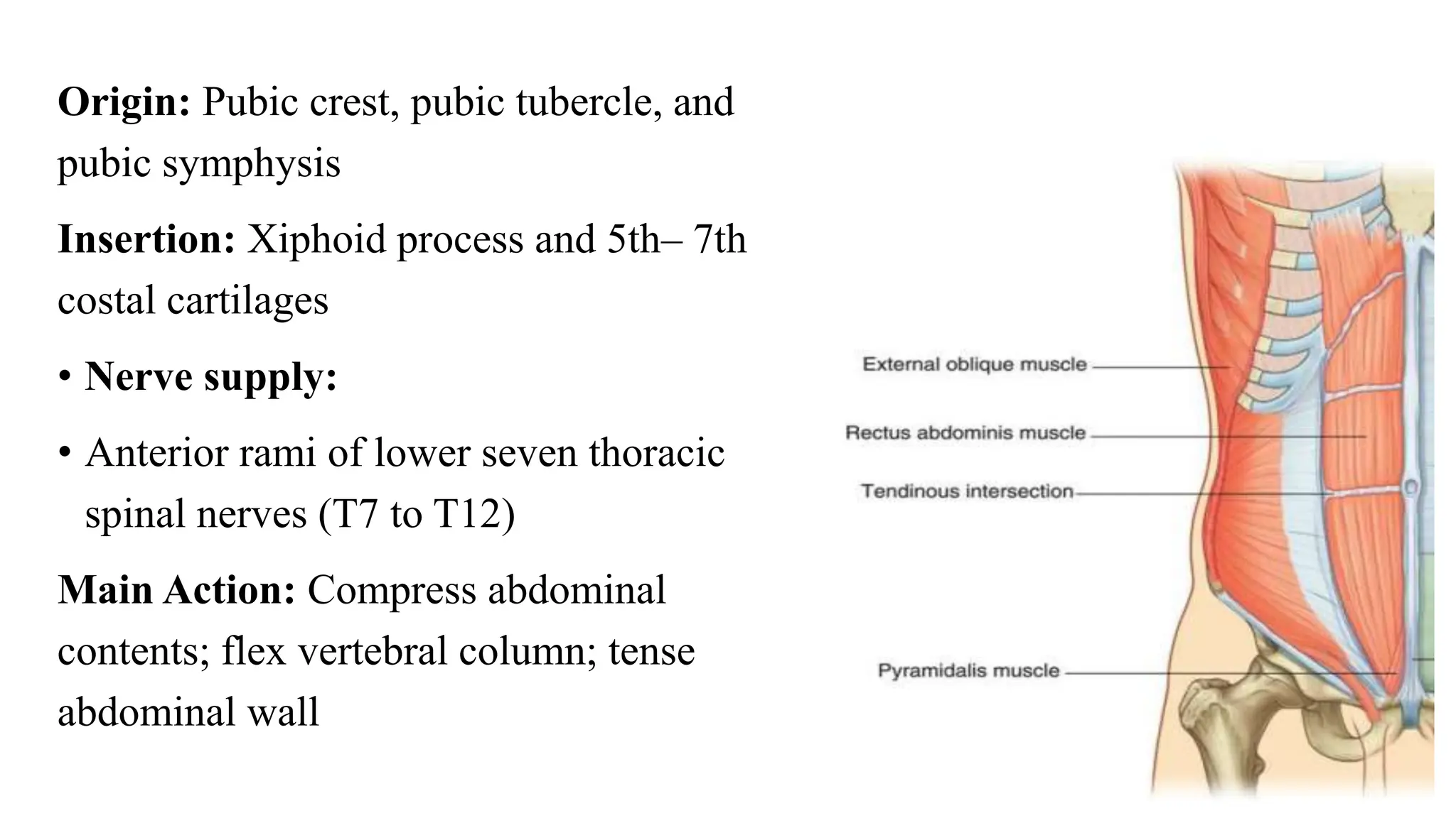 Vertebral column4physiotherapy.stts2.pptx