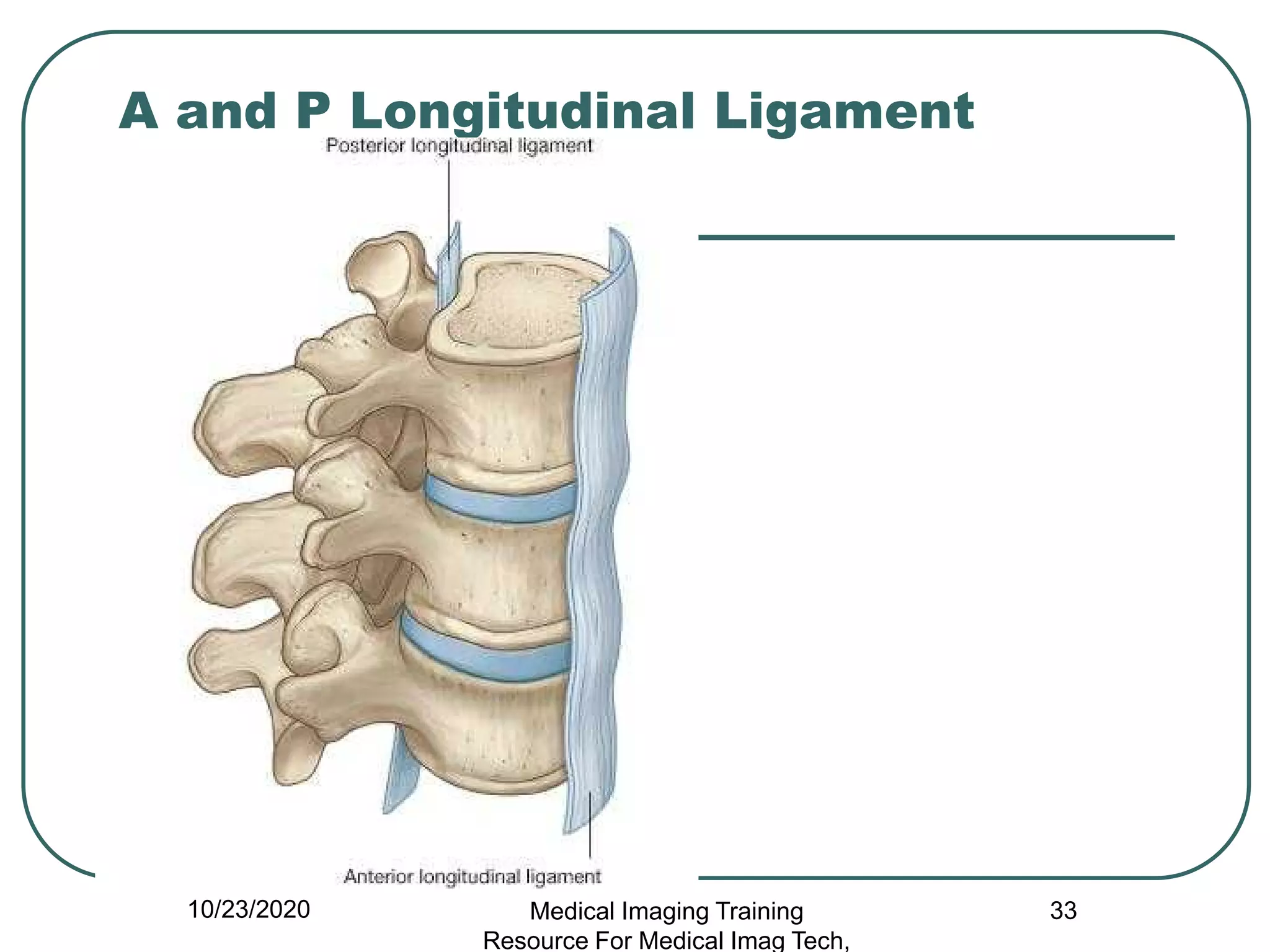 Vertebral column anatomy . radiology training resource ncchanji nkeh keneth | PPT