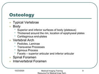 Vertebral column anatomy . radiology training resource ncchanji nkeh ...