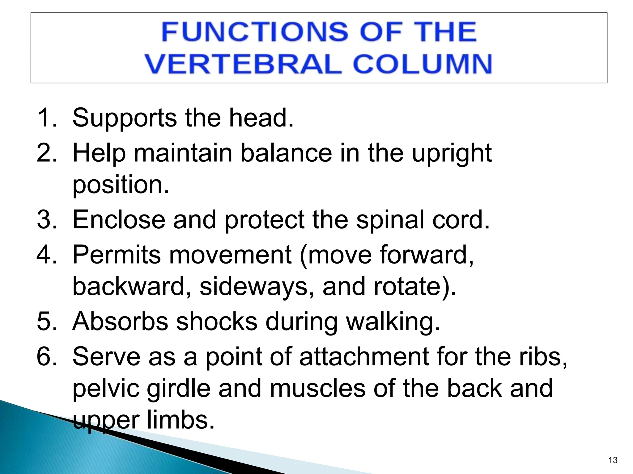Vertebral Column Anatomy and Embryology At a glance | PPT