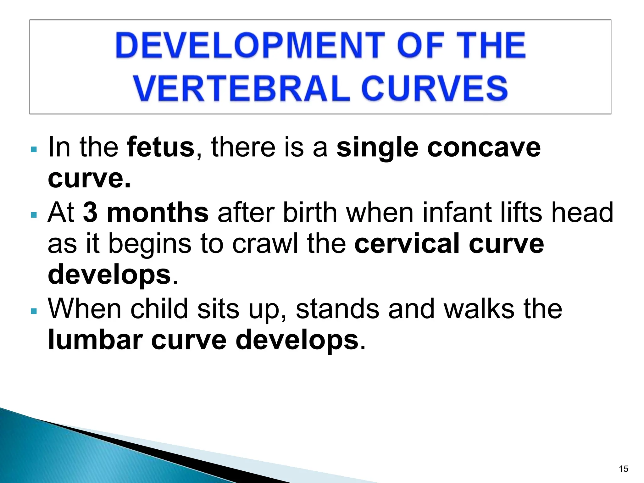 Vertebral Column Anatomy and Embryology At a glance | PPT