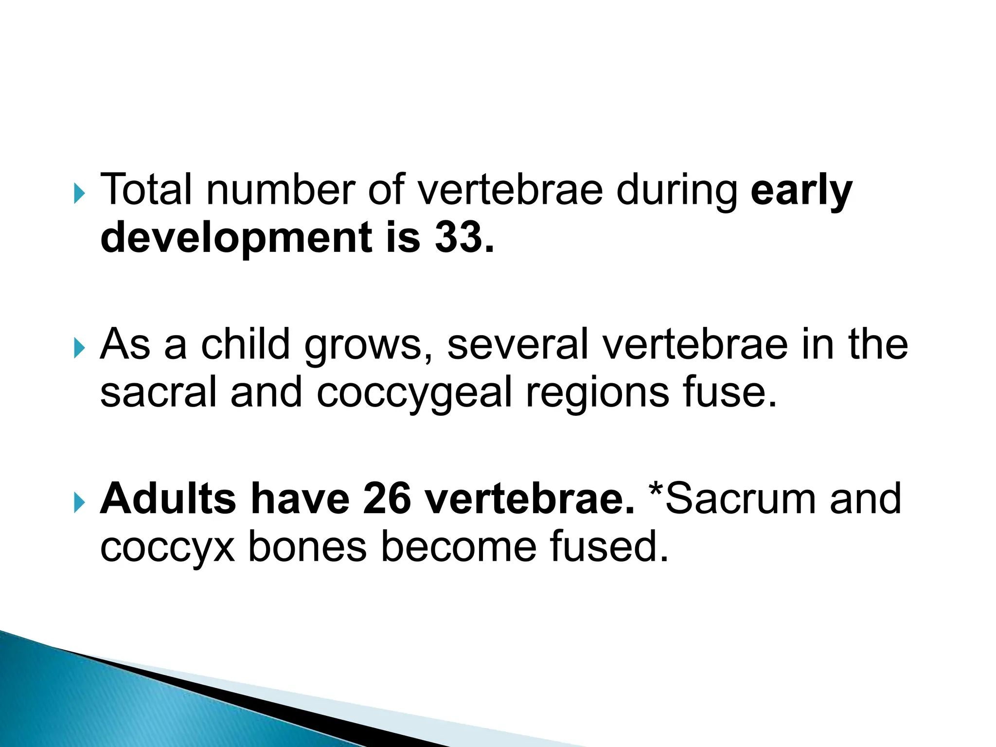 Vertebral Column Anatomy and Embryology At a glance | PPT