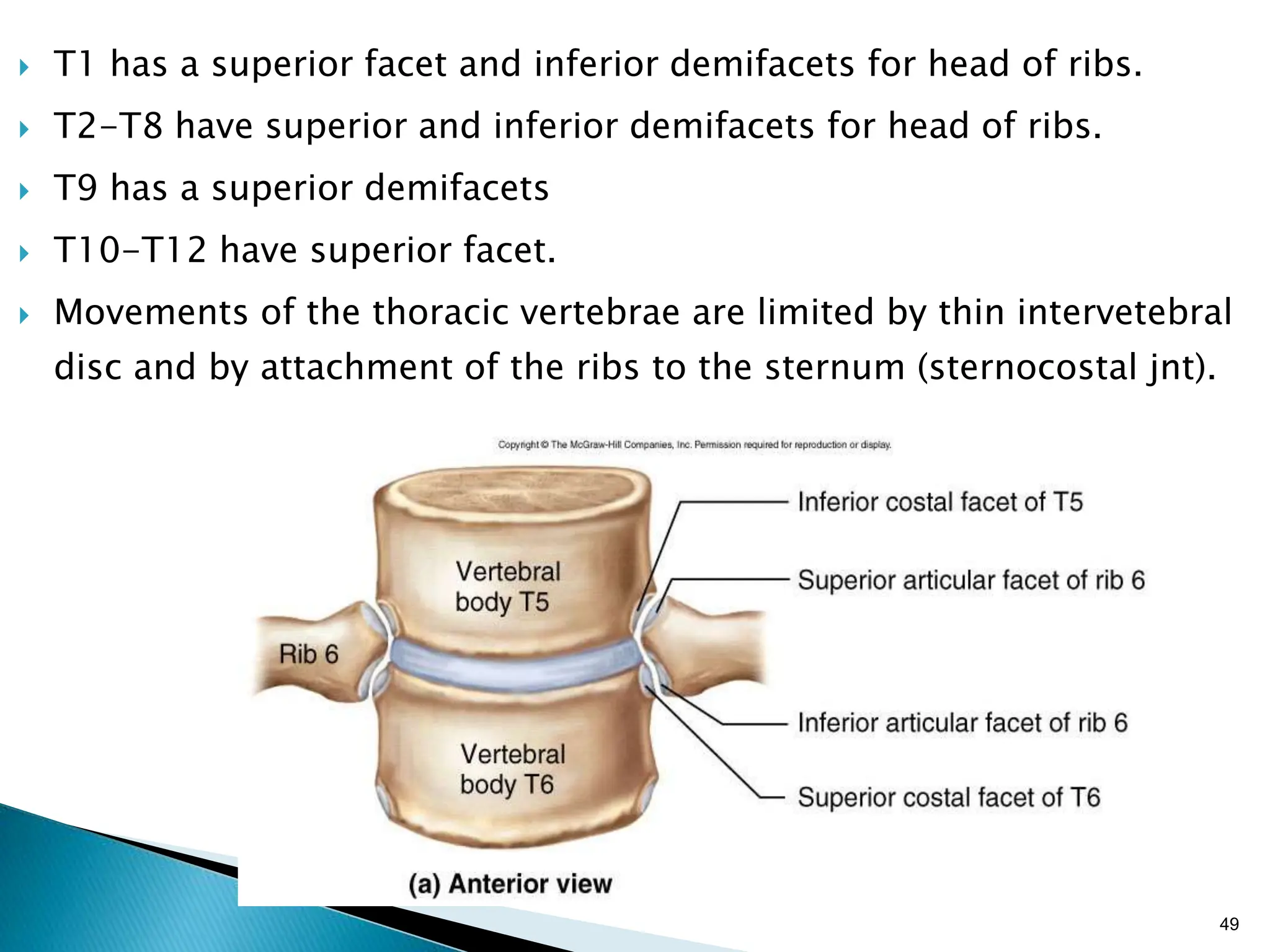 Vertebral Column Anatomy and Embryology At a glance | PPT