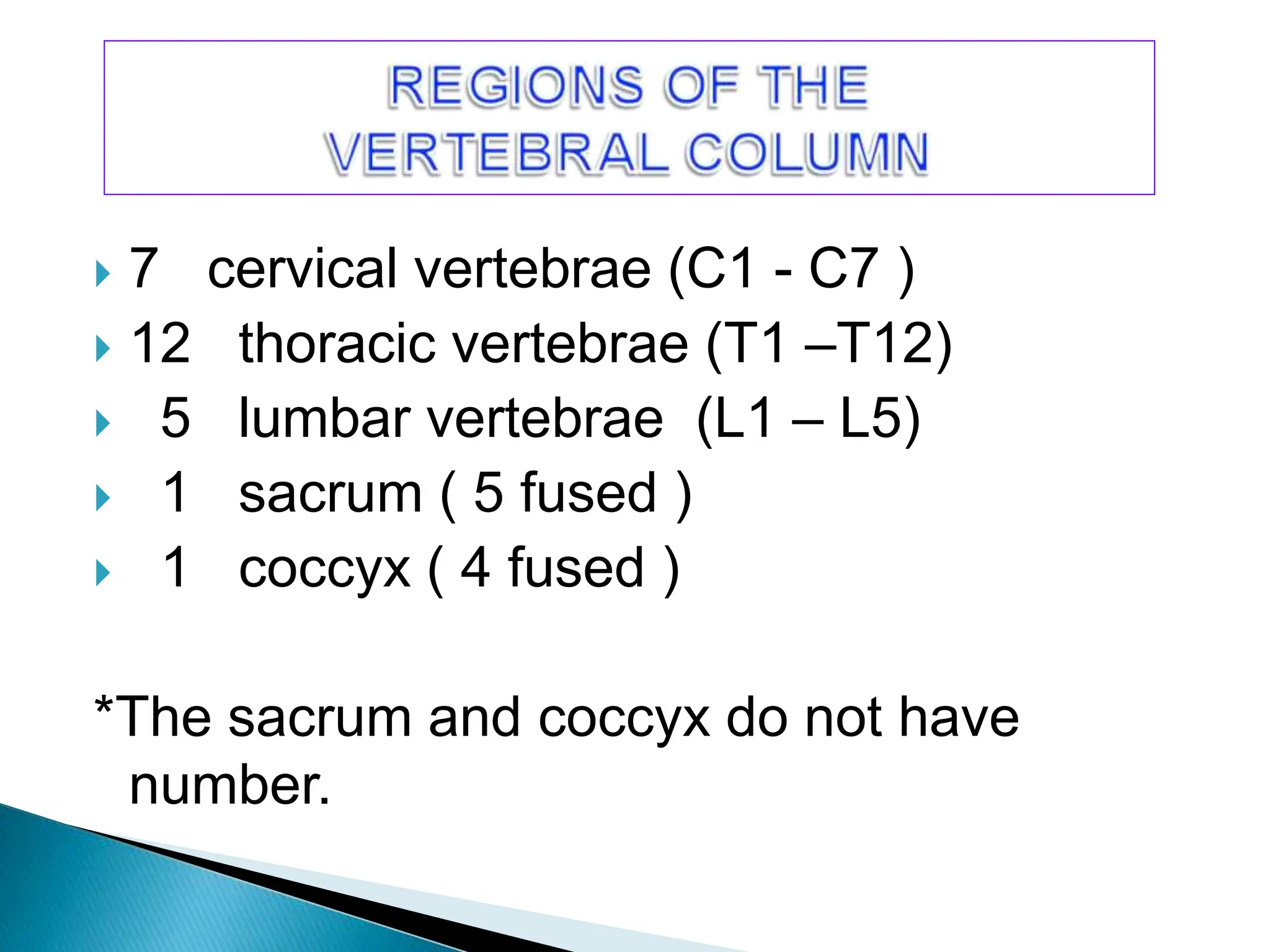 Vertebral Column Anatomy and Embryology At a glance | PPT