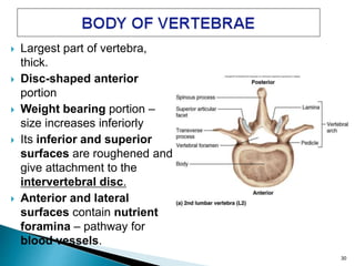 Vertebral Column Anatomy and Embryology At a glance | PPT