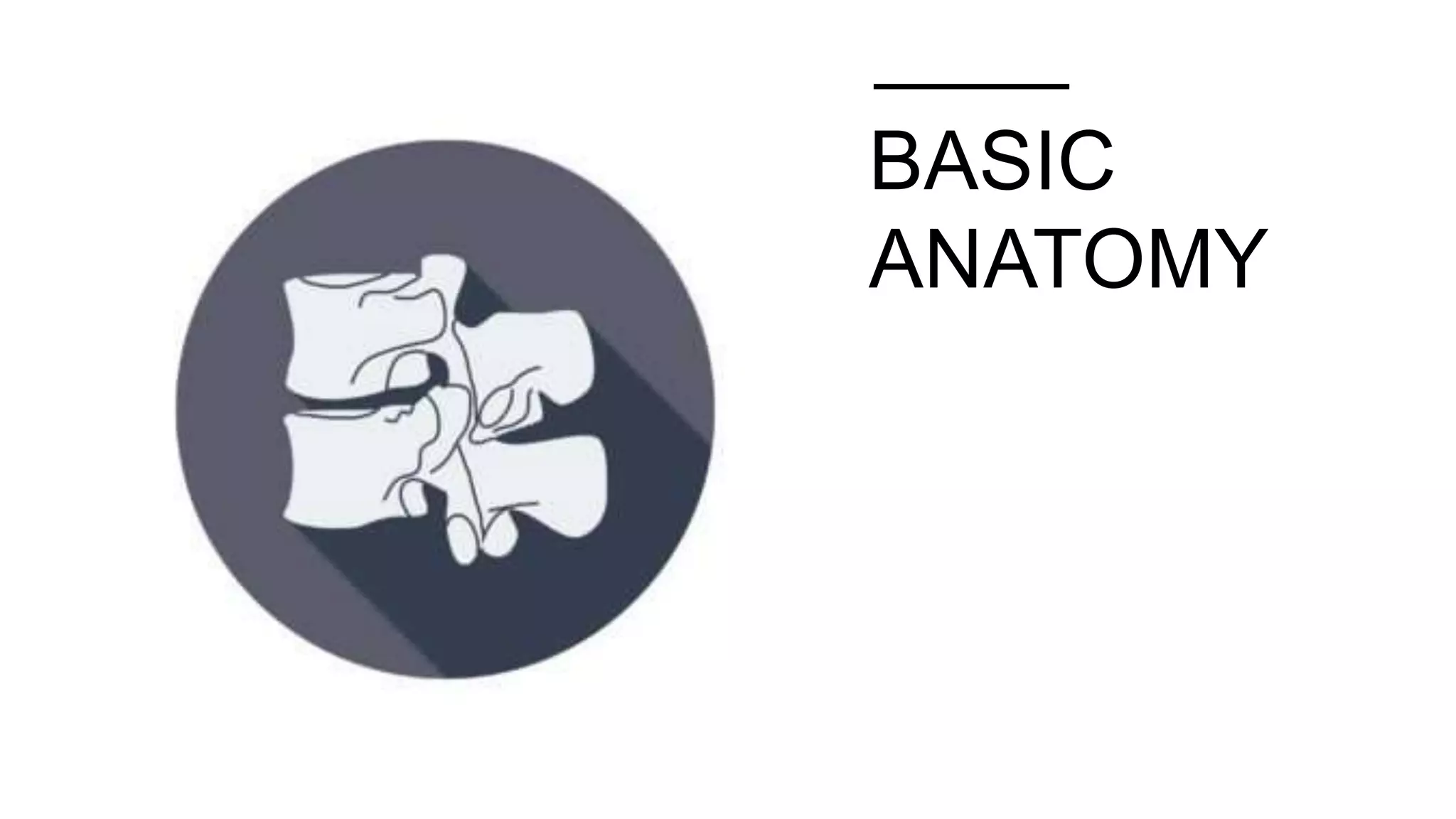 Vertebral column associated pathology and radiographic appearance | PPTX