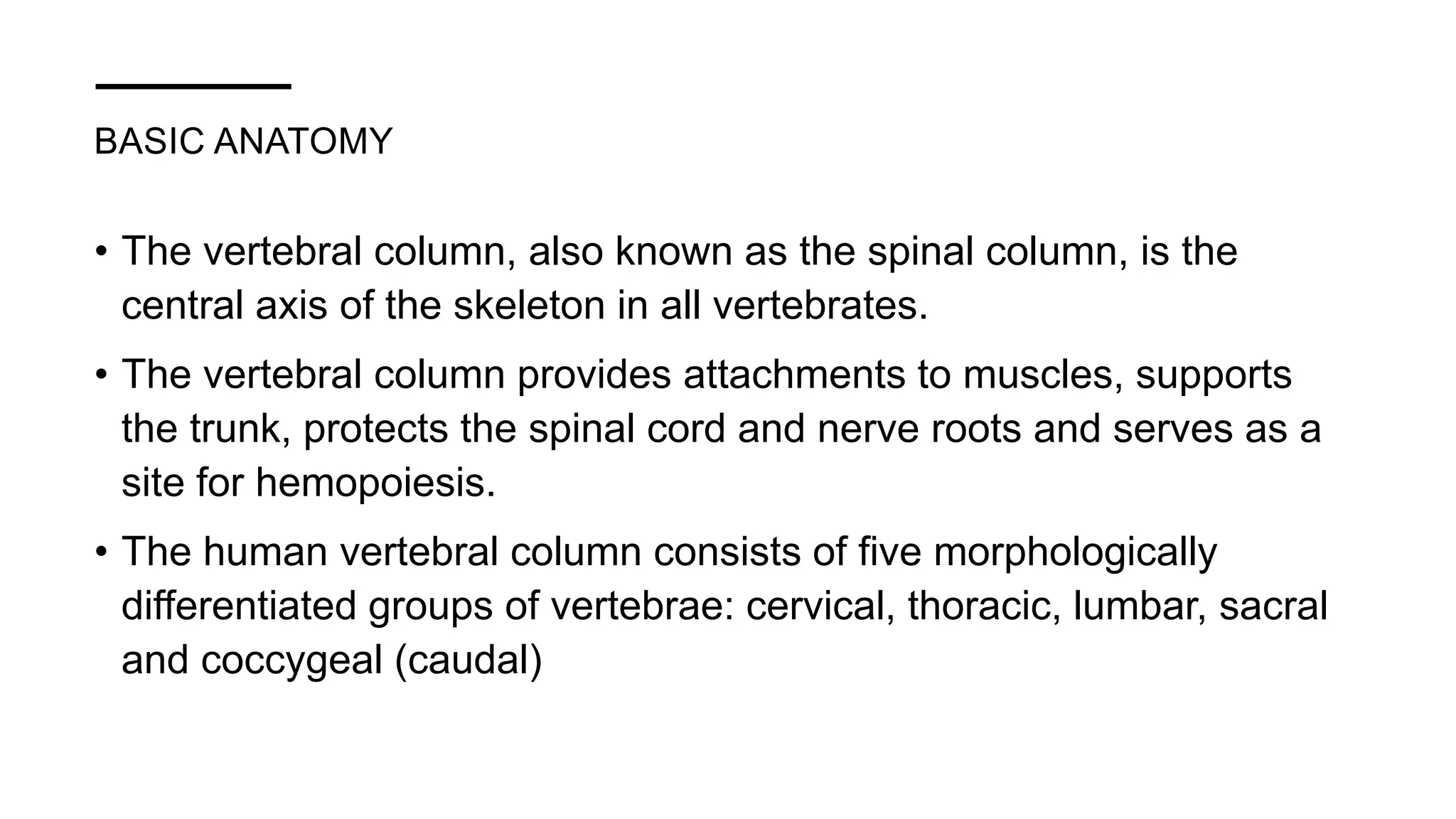 Vertebral column associated pathology and radiographic appearance | PPTX