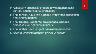 Vertebral column (Cervicals) mam zaima.pptx