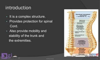 Vertebral Column | PDF