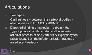 Vertebral Column | PDF