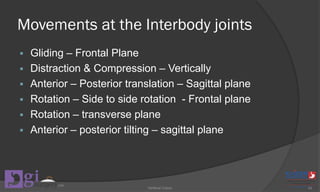 Vertebral Column | PDF