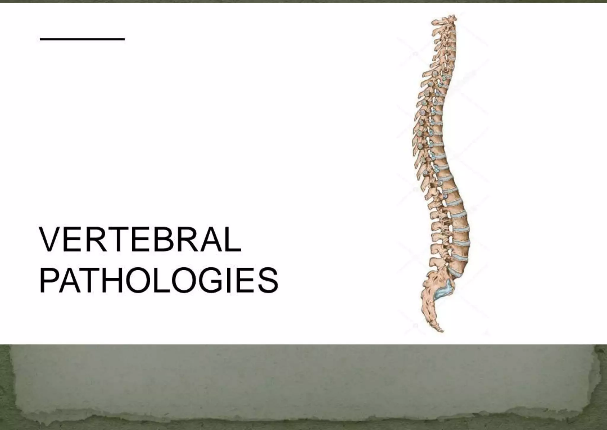 Vertebral column pathology , PPT, | PPTX