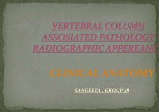 Vertebral column pathology , PPT, | PPT