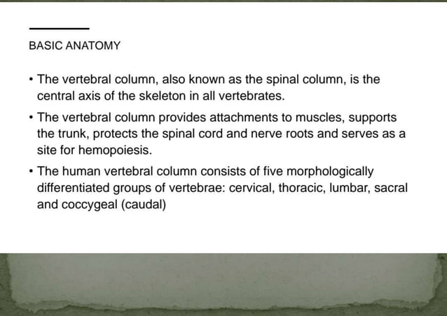 Vertebral column pathology , PPT, | PPTX
