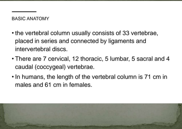 Vertebral column pathology , PPT, | PPTX