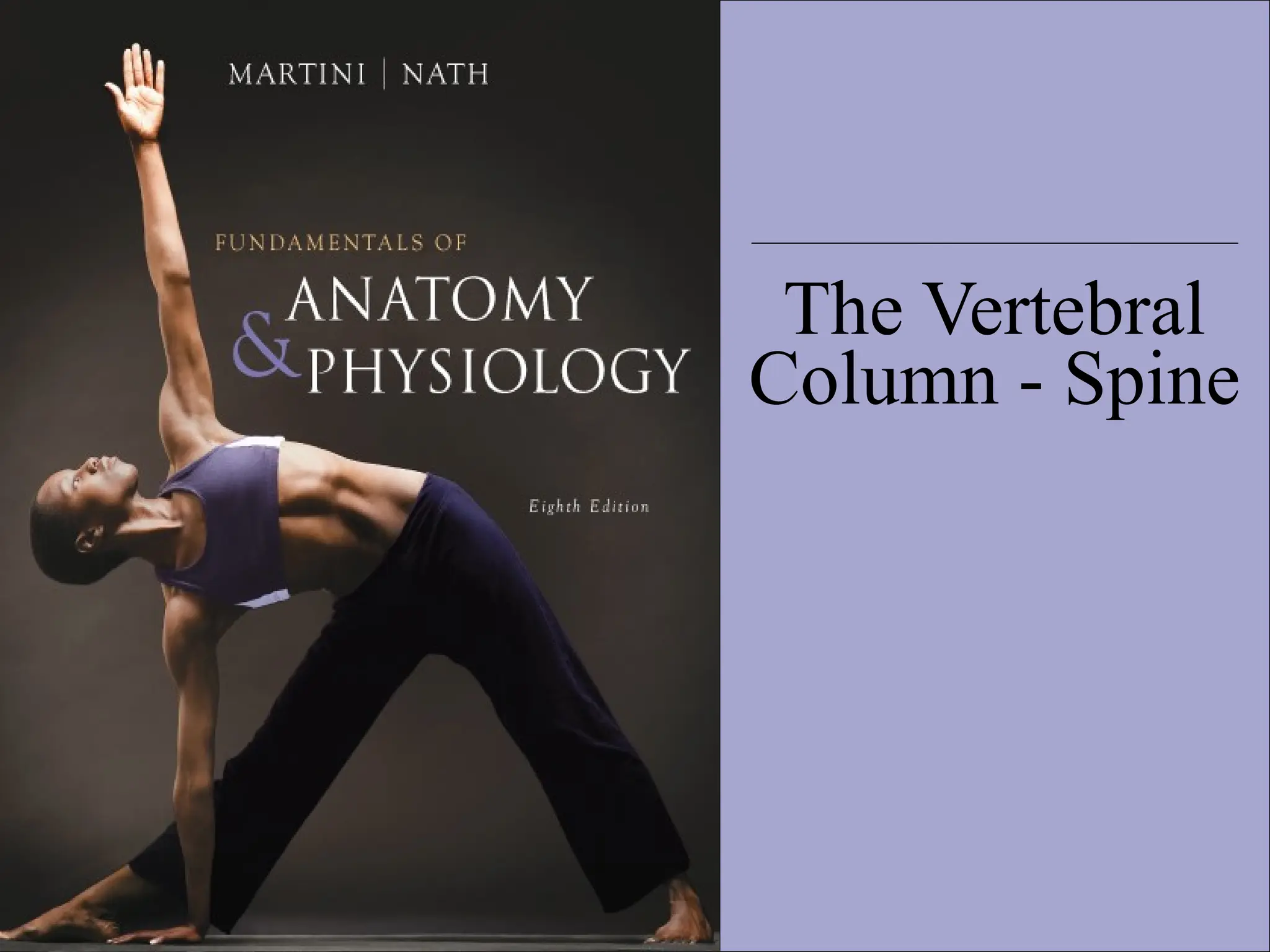 Vertebral_Column_PPP.pptx biomechanics phy | PPT