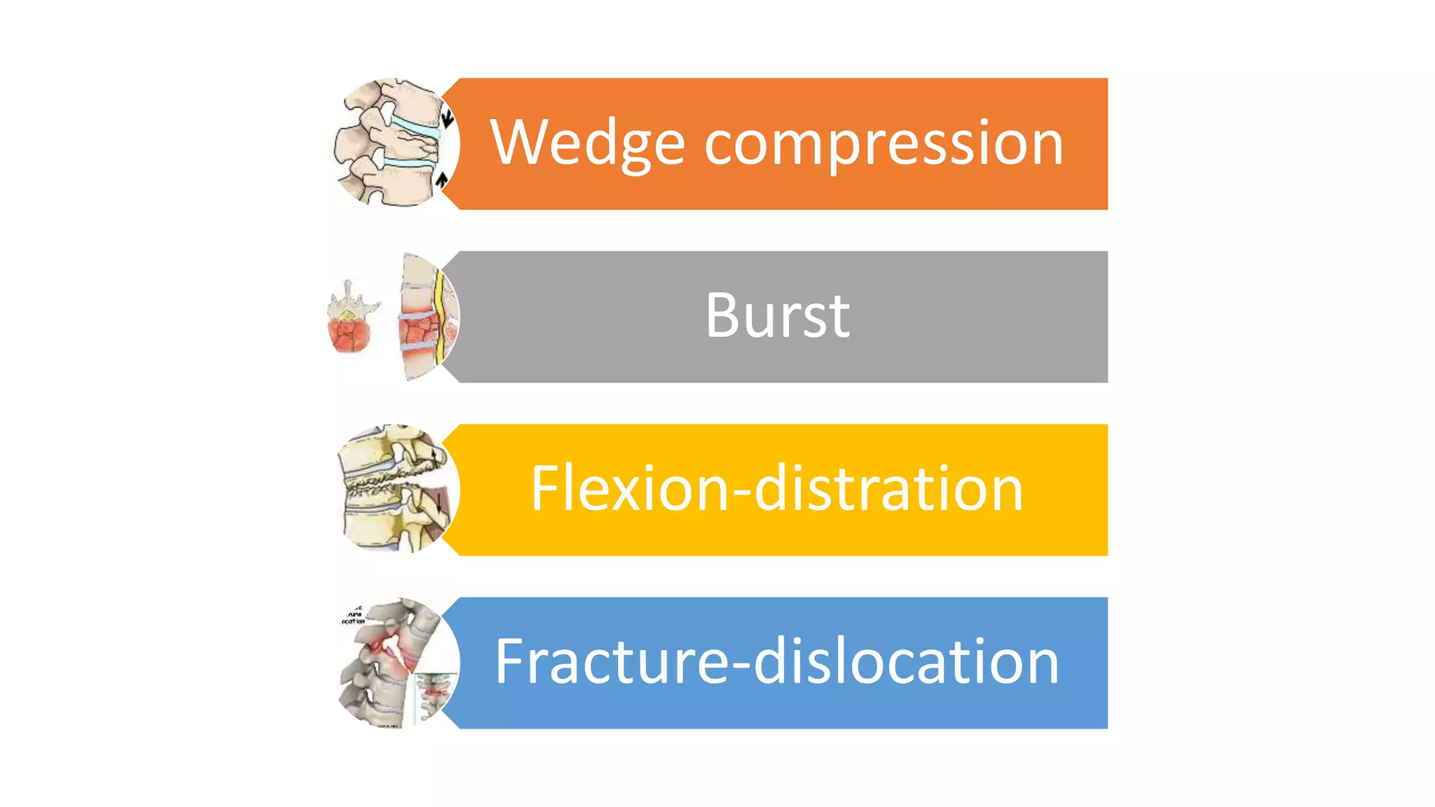 Vertebral Fracture and Spinal Cord Injury.pptx