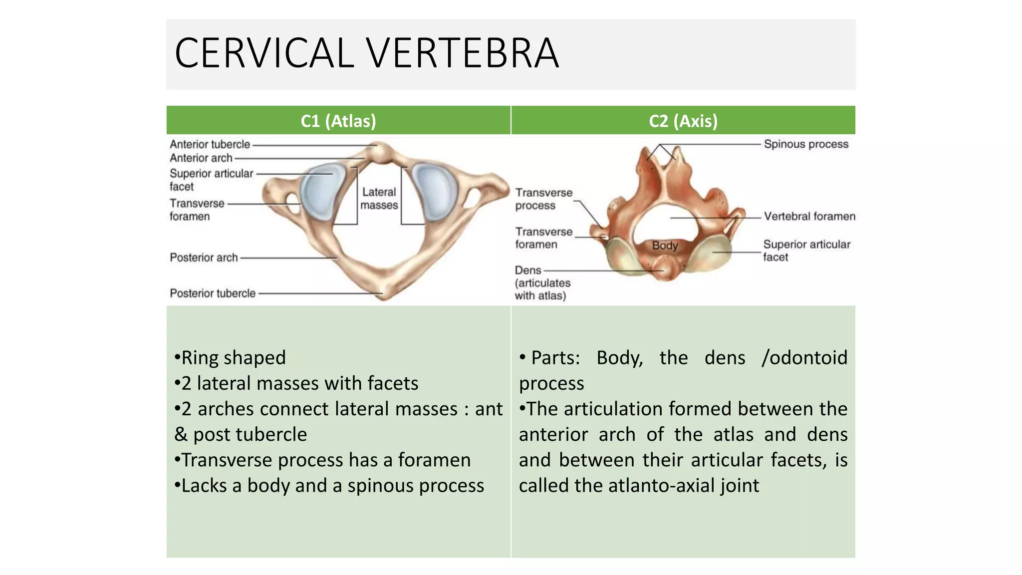 Vertebral Fracture and Spinal Cord Injury.pptx