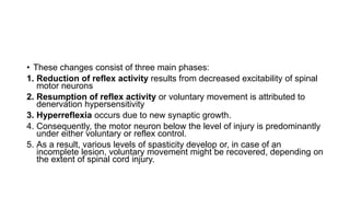 Vertebral Fracture and Spinal Cord Injury.pptx