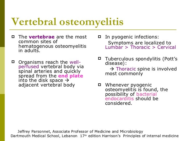 What Is Osteomyelitis Of Vertebra Lumbar Region at James Chalmers blog