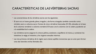 Presentación VERTEBRAS DE LA COLUMNA-.pptx