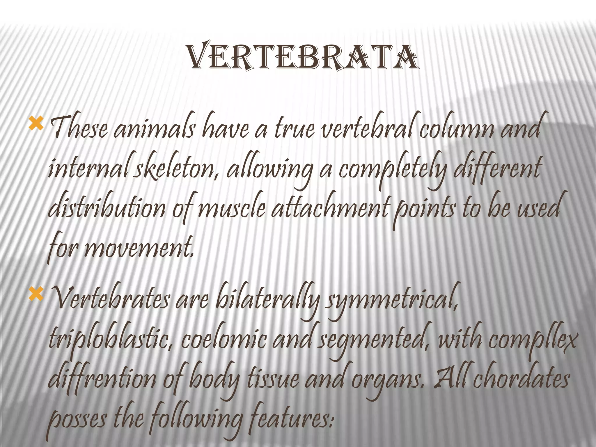 Brief Details of Vertebrata class 9 | PDF