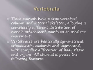 Vertebrata | PPTX