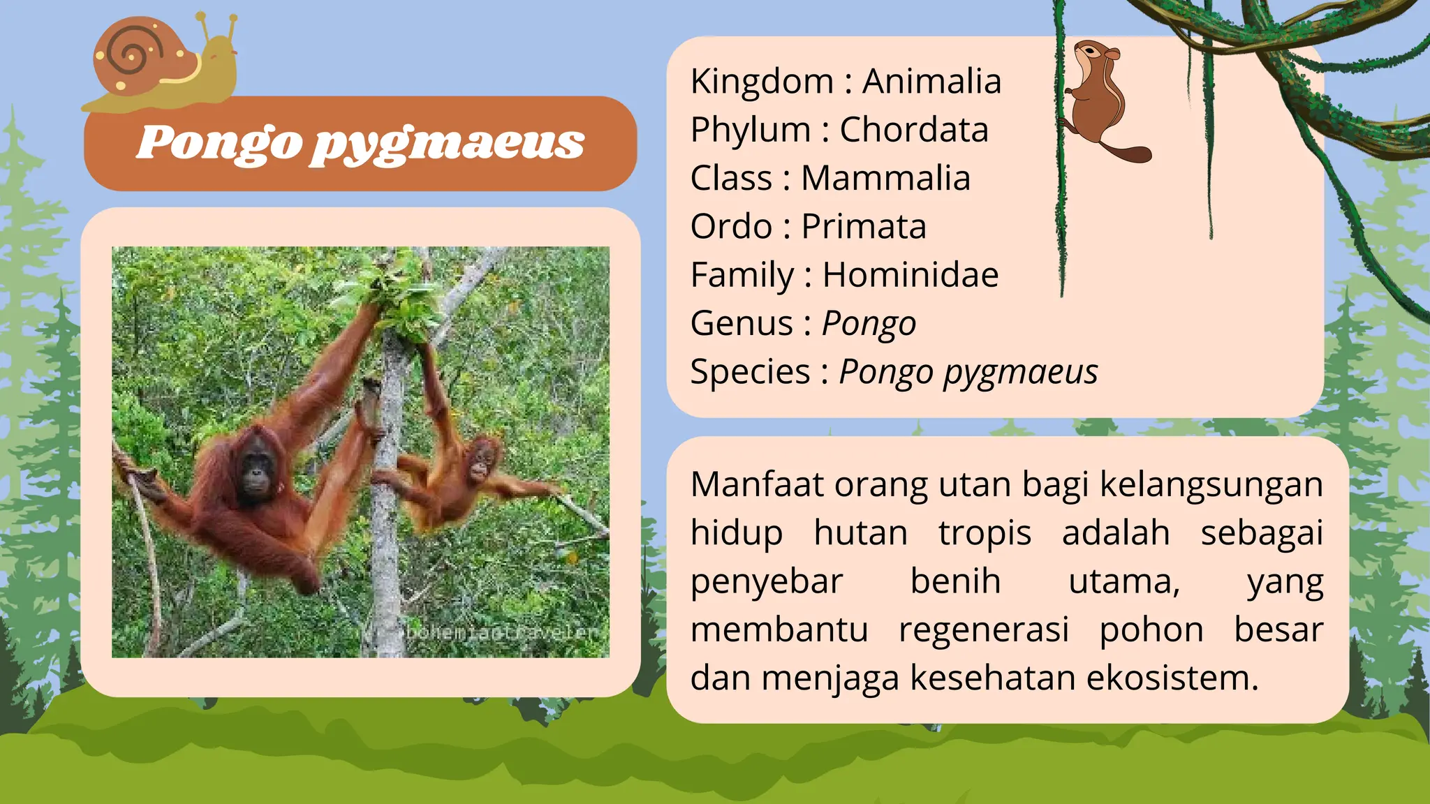 presentasi mahkluk kingdom animalia vertebrata | PDF