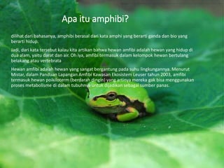 VERTEBRATA-WPS Office.pptx