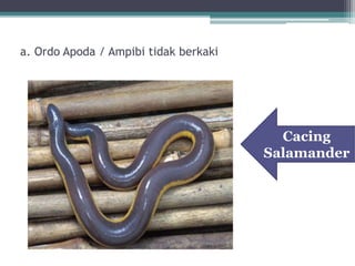 Makhluk Hidup Vertebrata (Hewan Bertulang Belakang) | PPTX