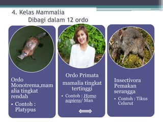 Makhluk Hidup Vertebrata (Hewan Bertulang Belakang) | PPTX