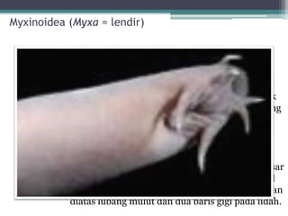 Vertebrata = craniata | PPT