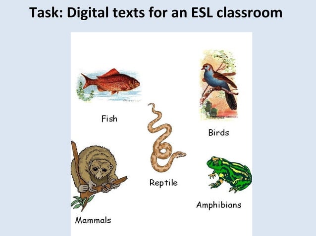 Vertebrate Animals | PPT