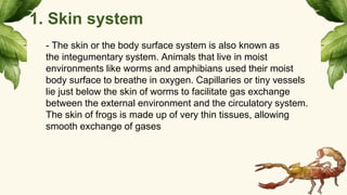 vertebrate-and-invertebrate-animals.pptx
