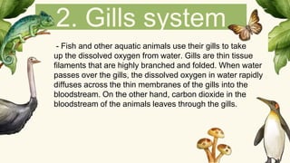 vertebrate-and-invertebrate-animals.pptx
