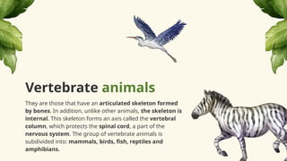 vertebrate-and-invertebrate-animals.pptx