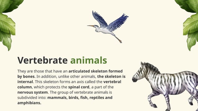 vertebrate-and-invertebrate-animals.pptx
