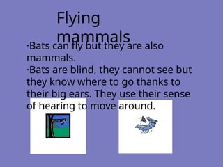 vertebrate-animals-fun-activities-games_37042.pptx