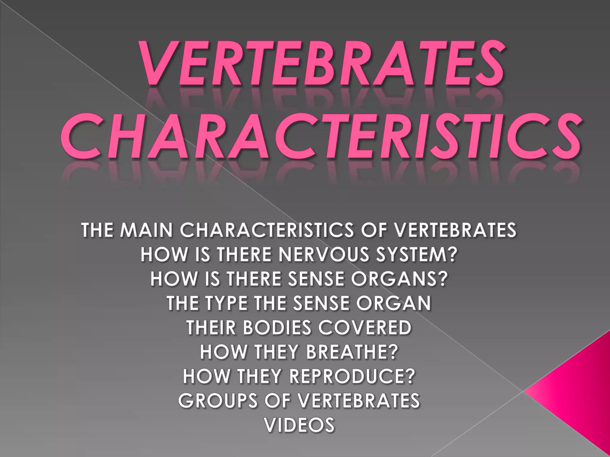 Vertebrates characteristics by Manuela 5ºA | PPTX