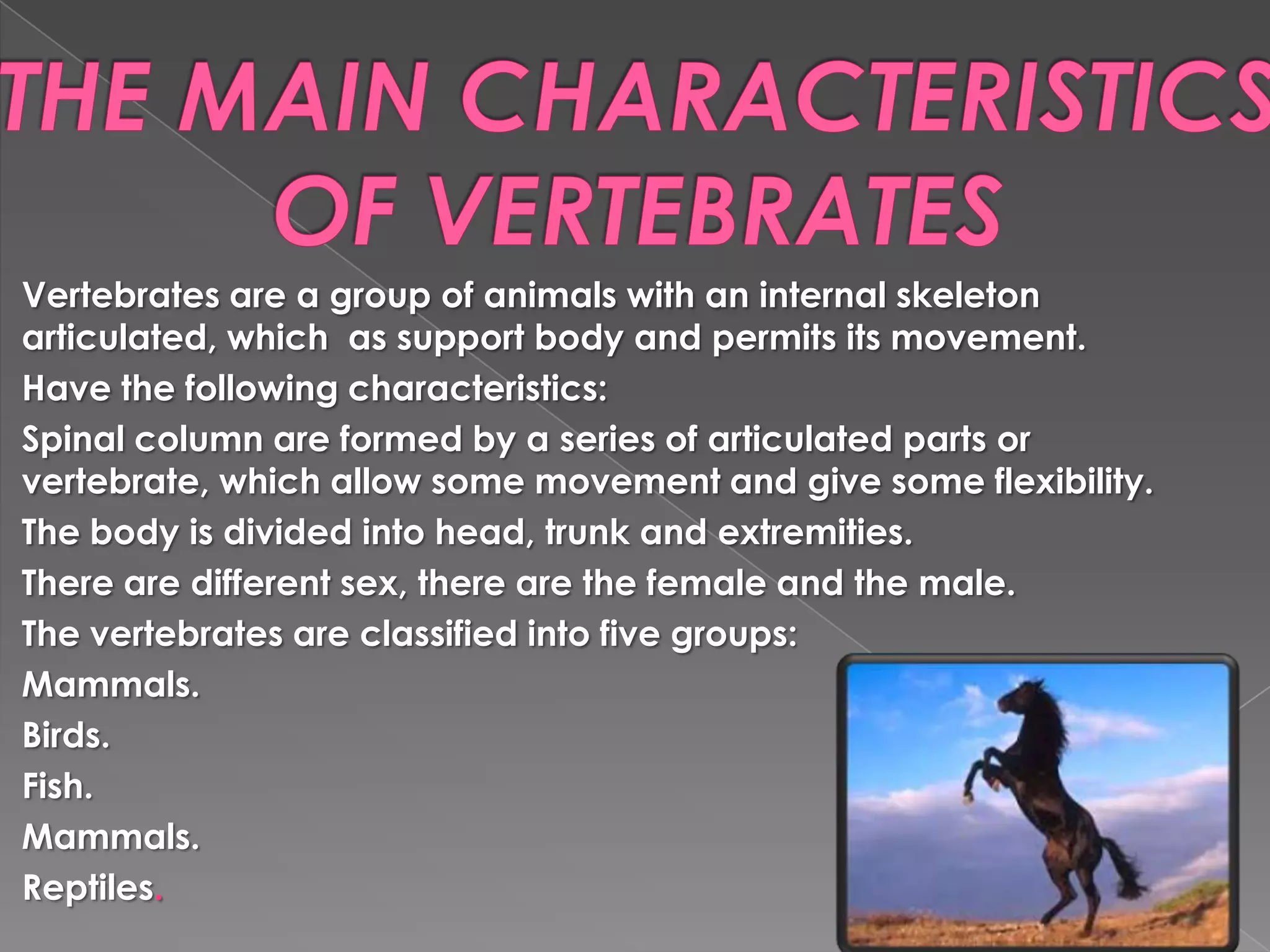 Vertebrates characteristics by Manuela 5ºA | PPTX