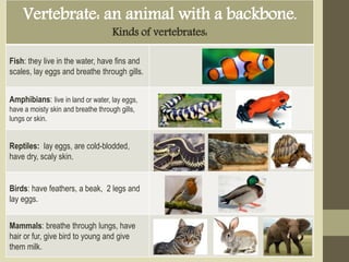 vertebrate and invertebrate.pptx